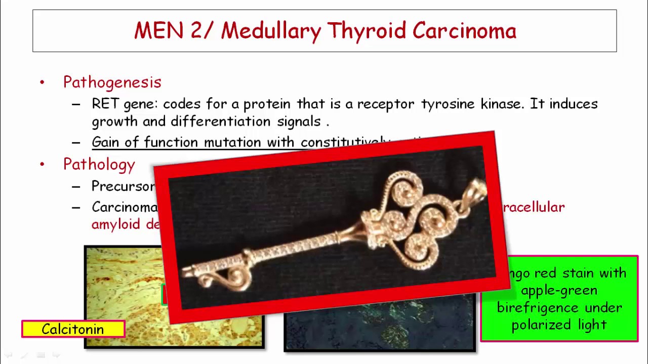 12DaysinMarch, Adrenal Medulla and MEN2 for USMLE Step One - YouTube