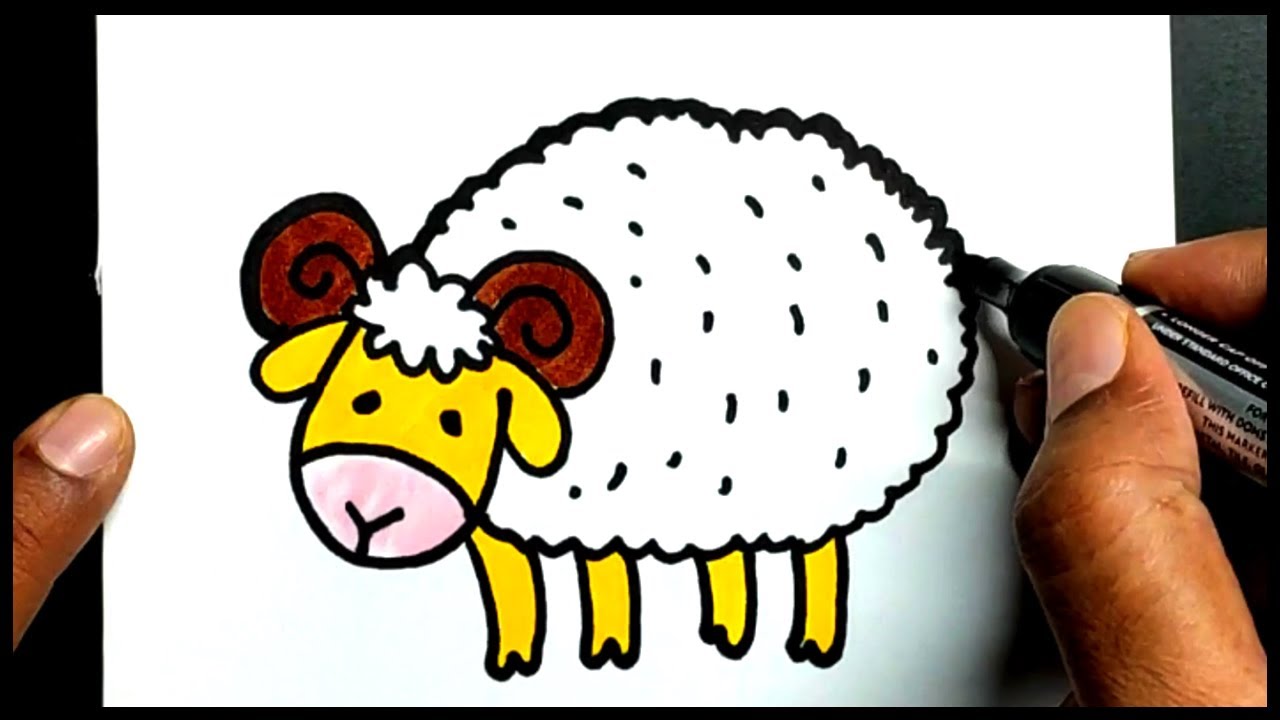 Sheep drawing for kids || Easy step by step drawing - YouTube