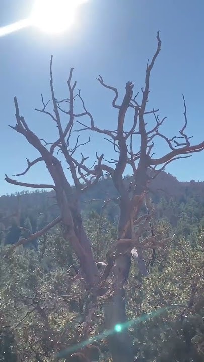 Red Rock Canyon Part 2 - YouTube