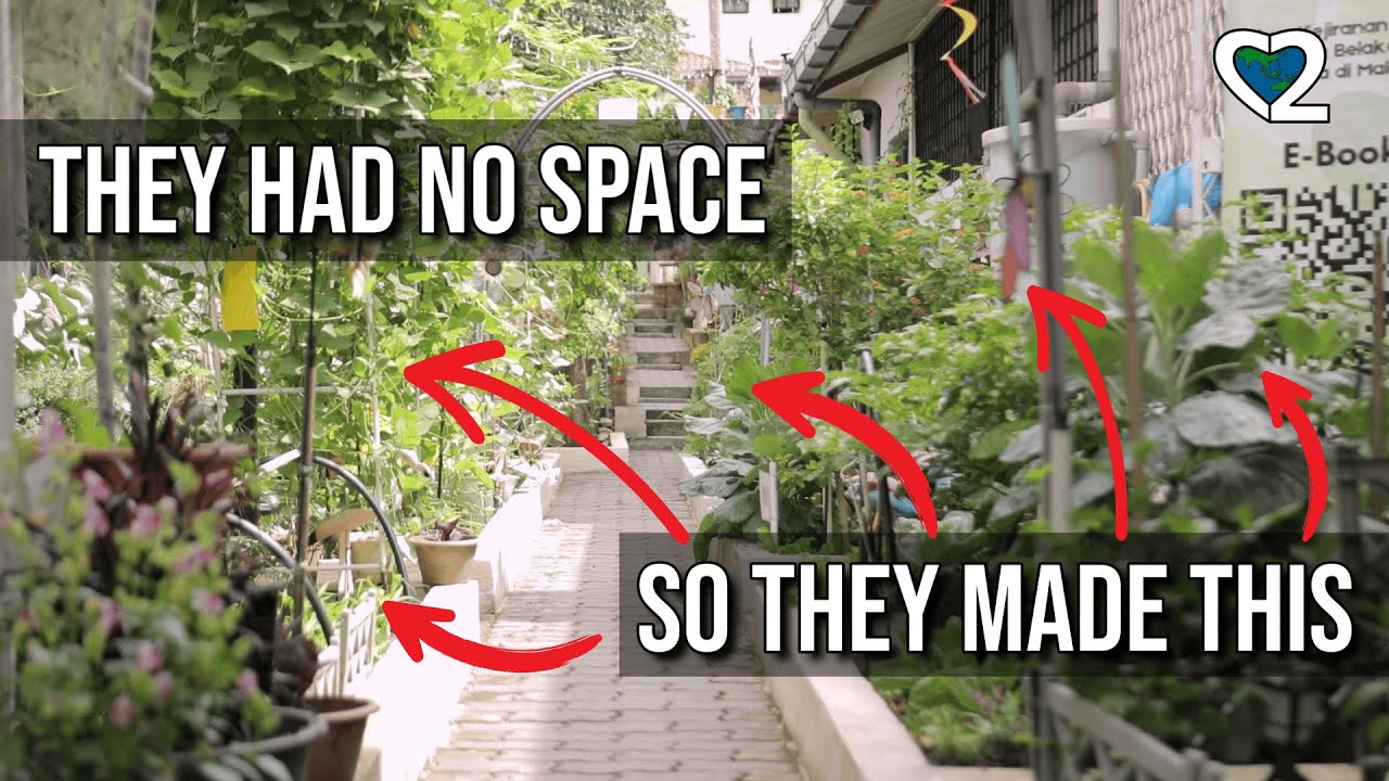 Why Did These Malaysians Build a Back Alley Garden? (SUBTITLES ...