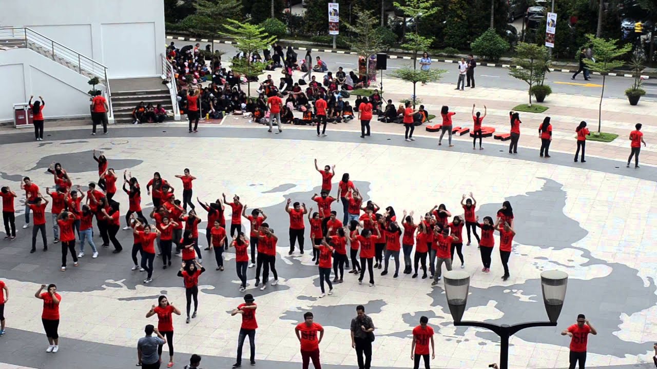 2014 MSU Homecoming Fiesta Aerodance Champions : Team SHCA - YouTube