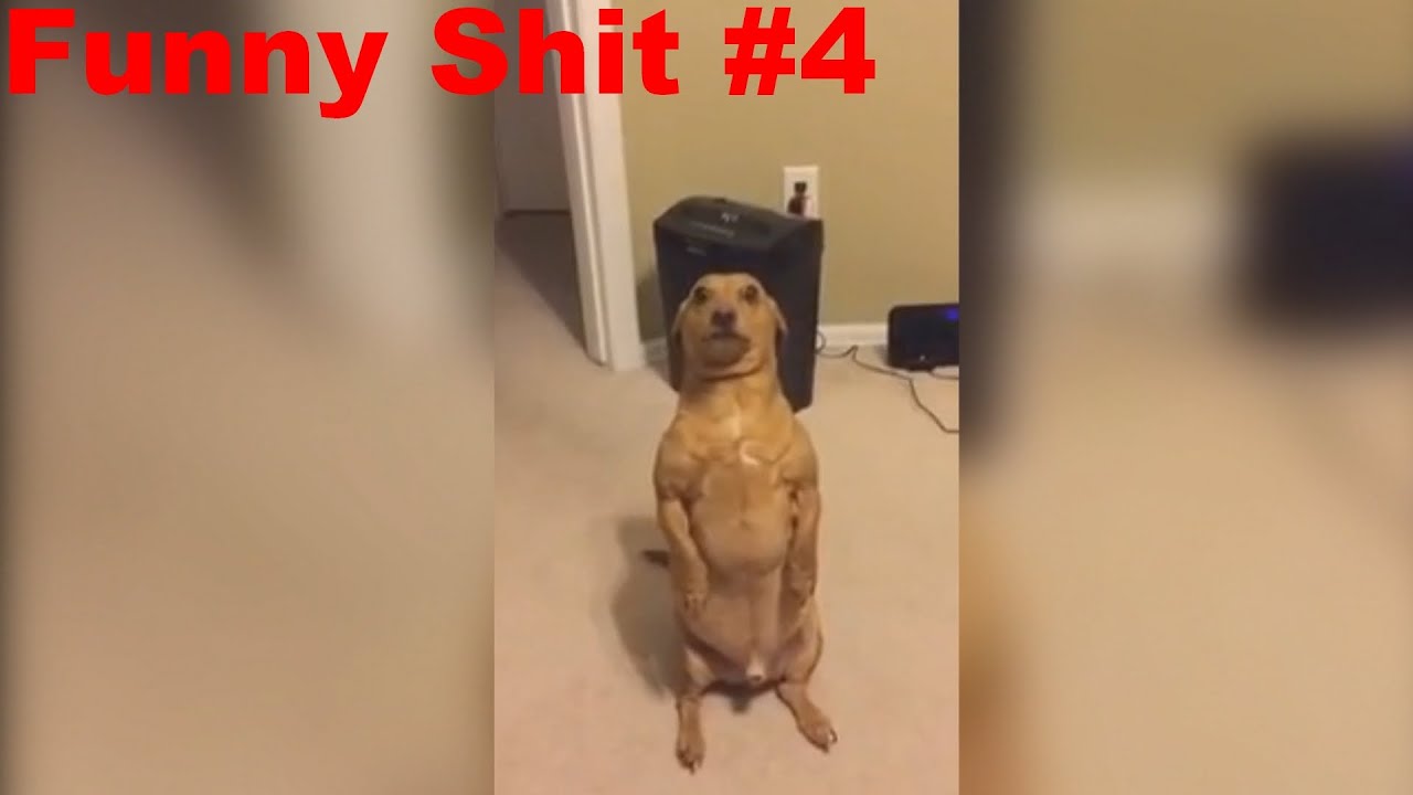Funny shit #4 - YouTube