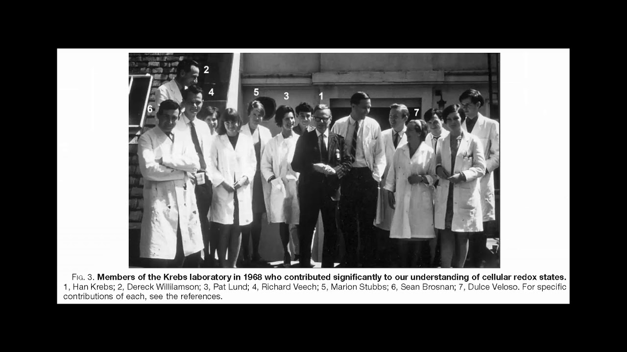 Richard Veech on measuring NADPH - YouTube