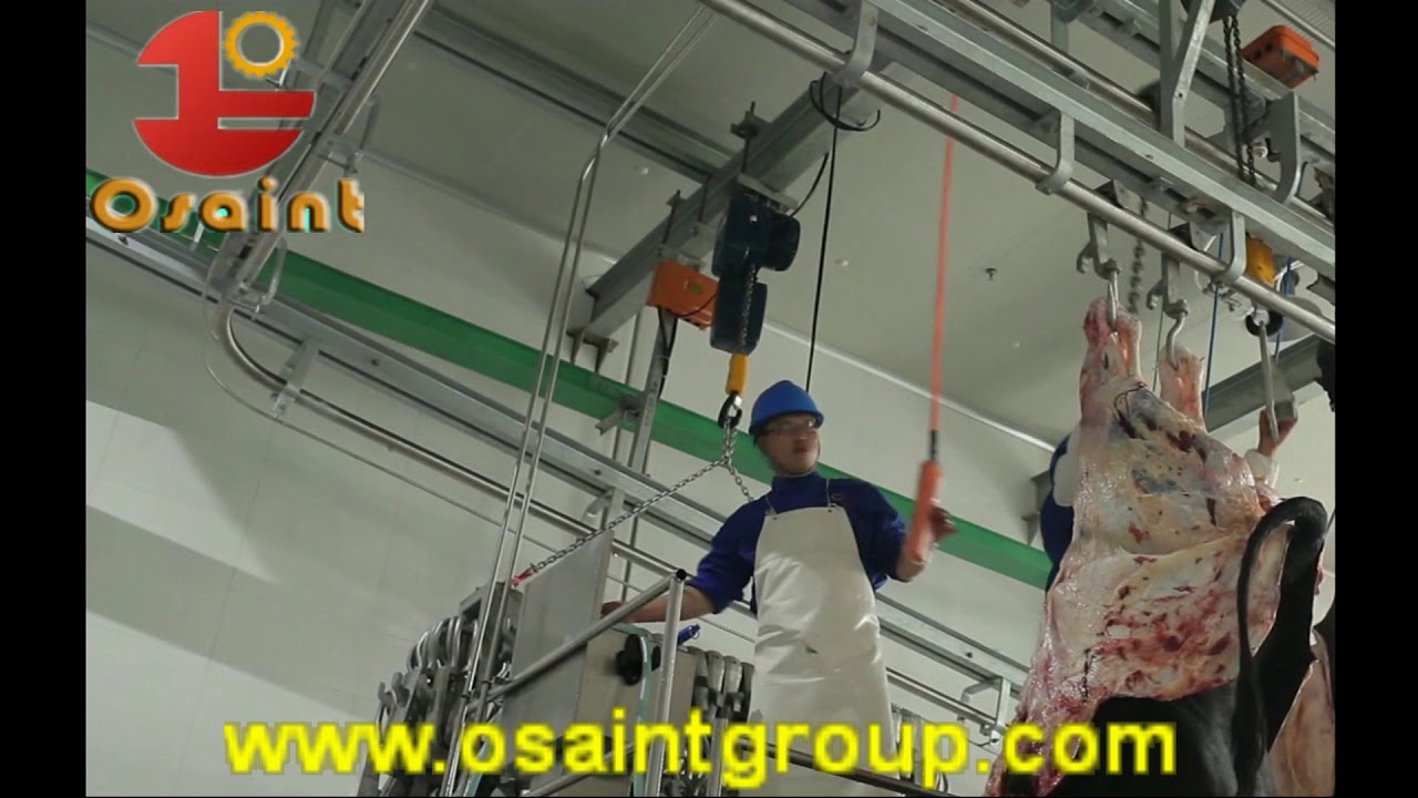Cattle Slaughtering Line - YouTube