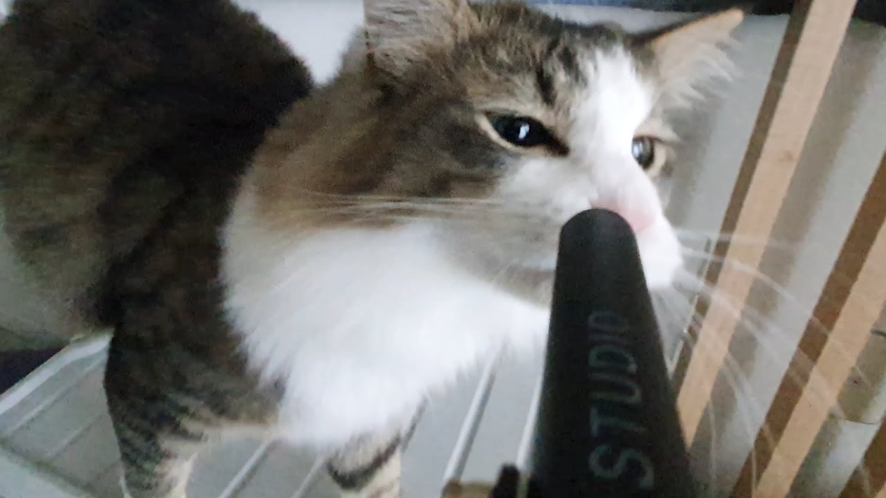 ahhh my nose - YouTube