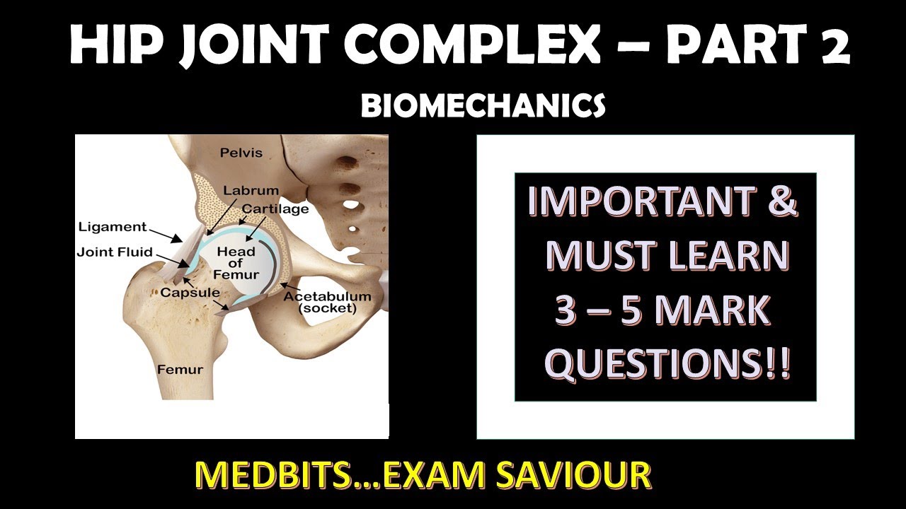 HIP JOINT COMPLEX PART 2 BIOMECHANICS (ALL YOU HAVE TO KNOW) - YouTube