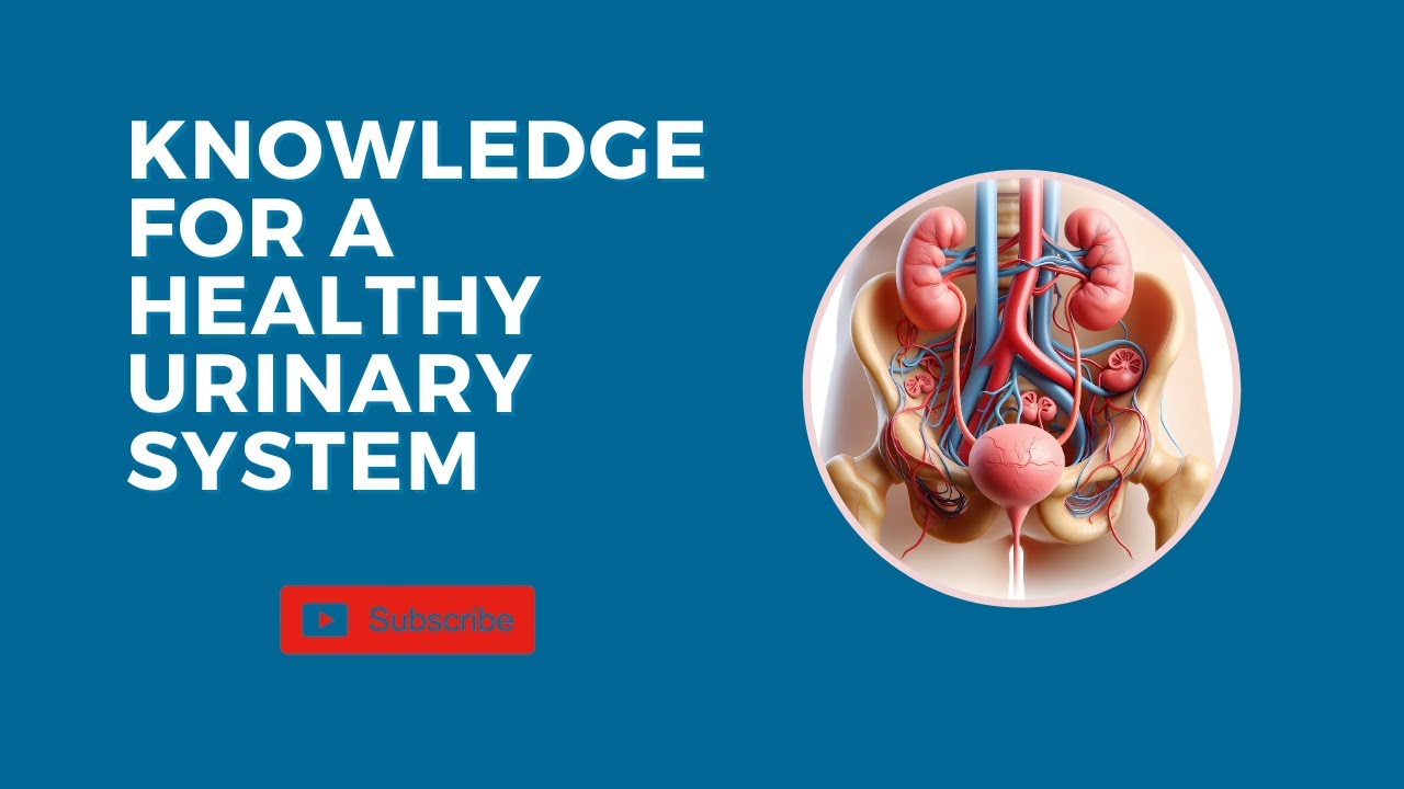 Your guide to UTI causes : Knowledge for a healthy urinary system - YouTube
