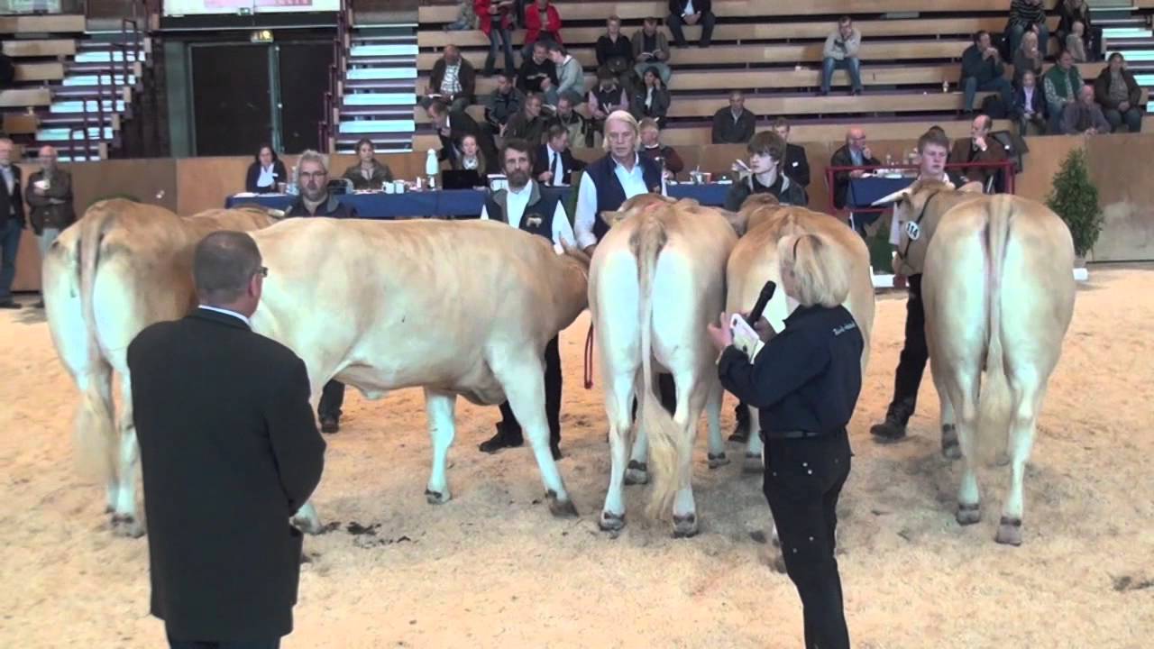 Schwarz Rot Gold Alsfeld 2011 Jungrinder & Rinder - YouTube