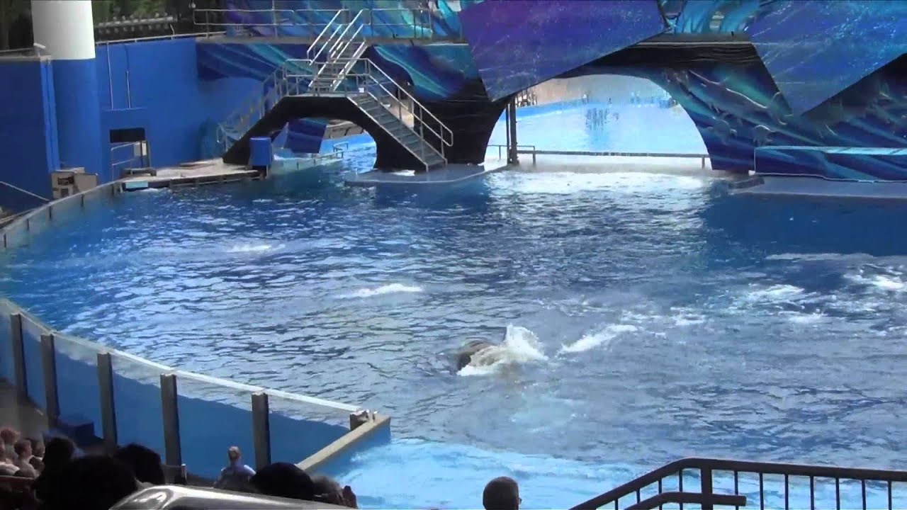 One Ocean Complete Show at Seaworld Orlando - YouTube