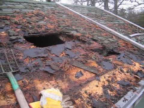 How to Repair a Rotted Roof Bill's Painting and Remodeling Metro ...