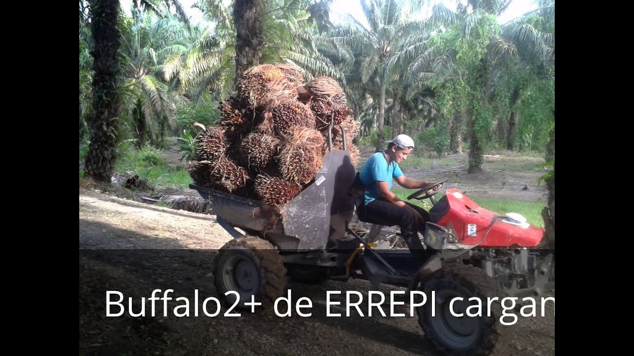 Buffalo2+ ERREPPI - YouTube