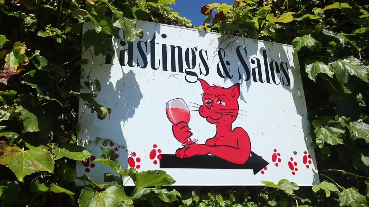 Red Cat Cellars Wine Tasting || 2020 - YouTube