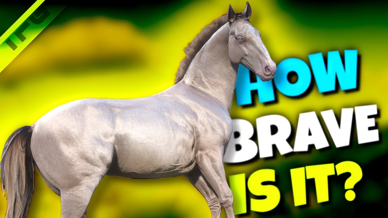 Testing the Limits of the Rare Perlino Andalusian War Horse | RDR2 ...