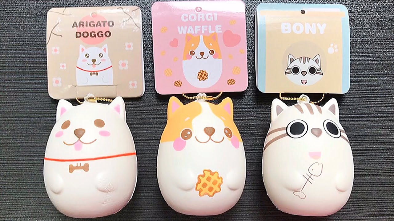 Corgi waffle, Arigato Doggo, Bony Cat squishy - YouTube