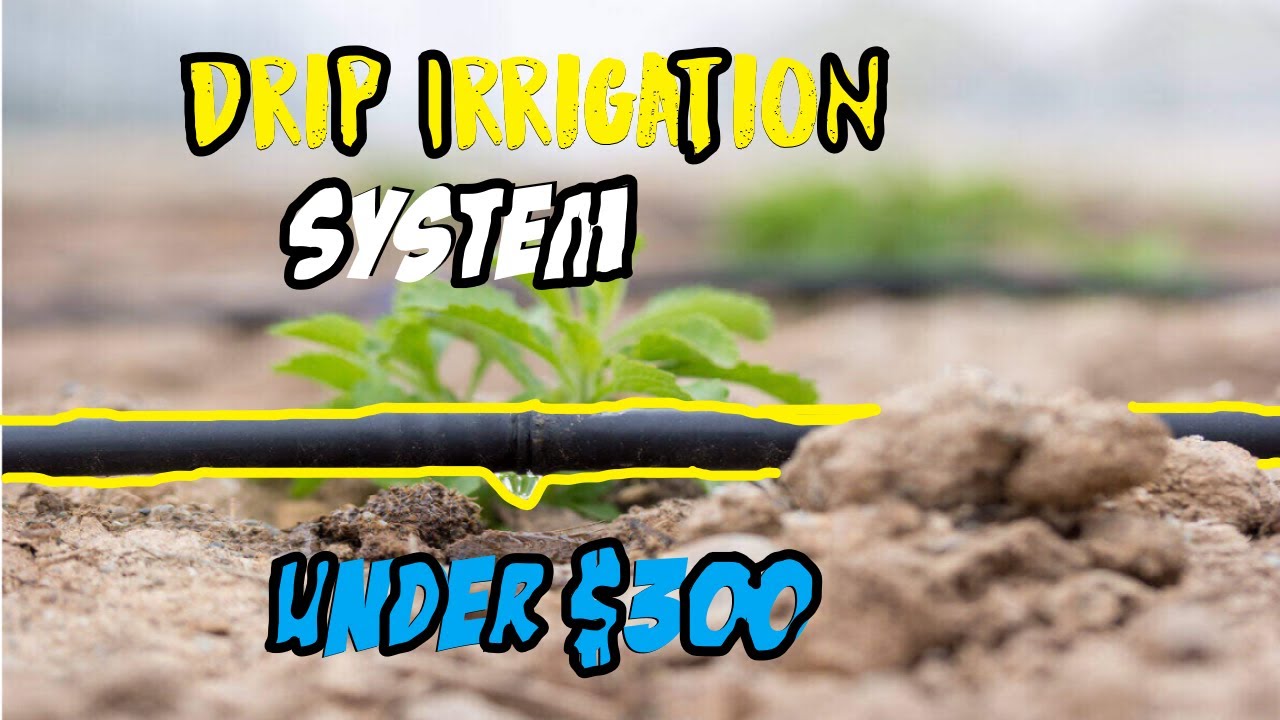 Build an Irrigation System for $300! (easy) - YouTube