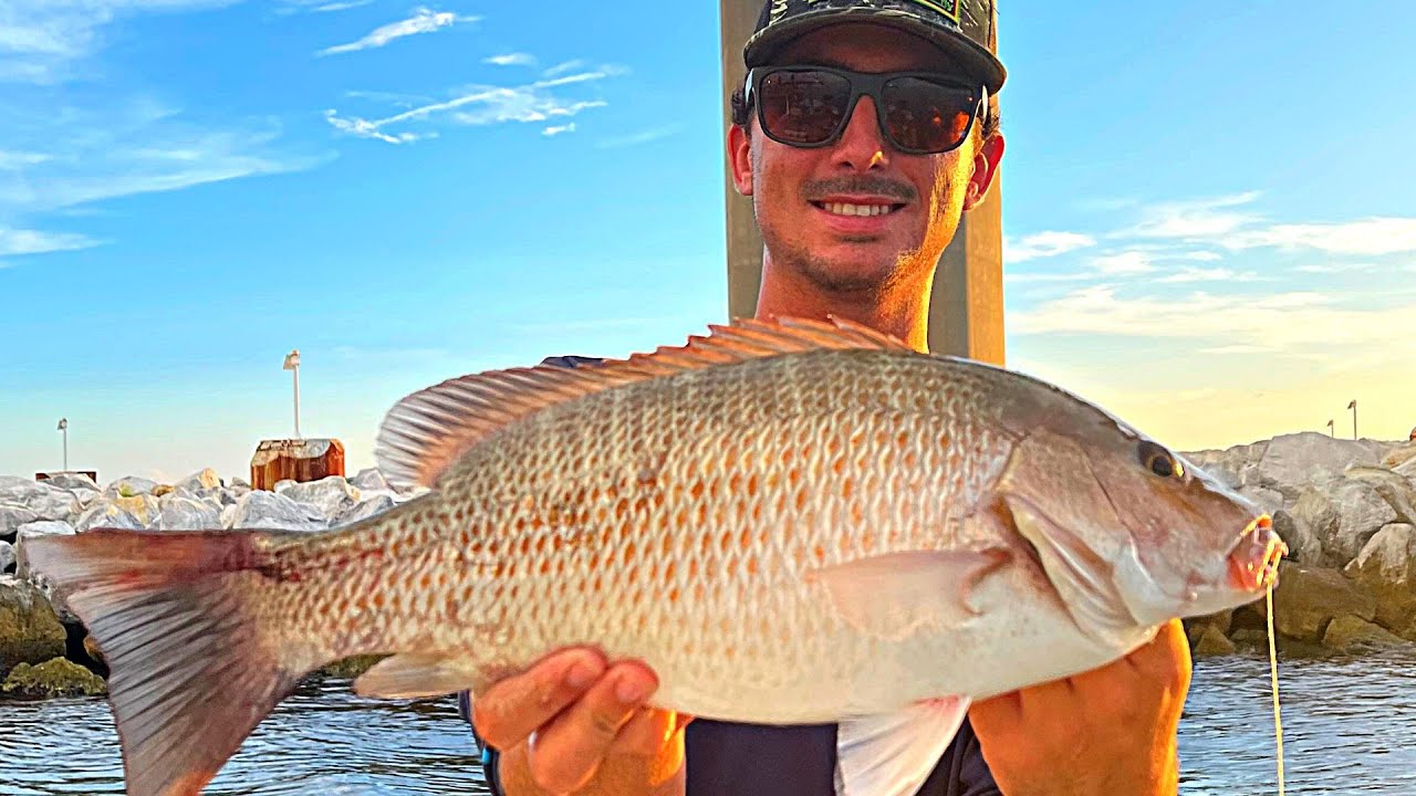 Monster Mangrove Snapper at Skyway Bridge Tampa Bay - YouTube