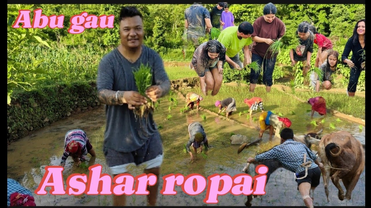 Finally ashar dhan ropai gariyo😍!!! #ashar @sumitgrg075 - YouTube