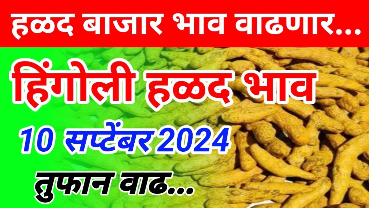 🔴 हिंगोली मार्केट हळद बाजार भाव | Turmeric Market Rate | Halad Bajar ...
