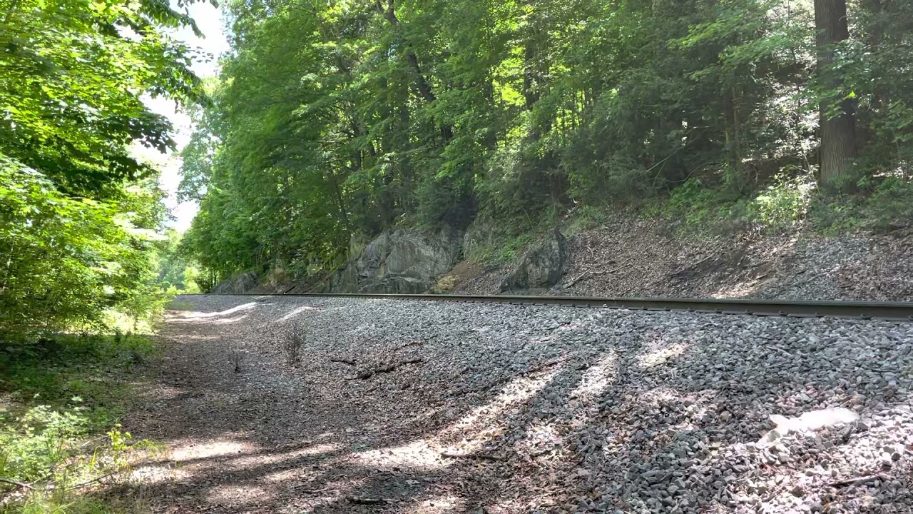 Hobo Shoestring Sighting - YouTube