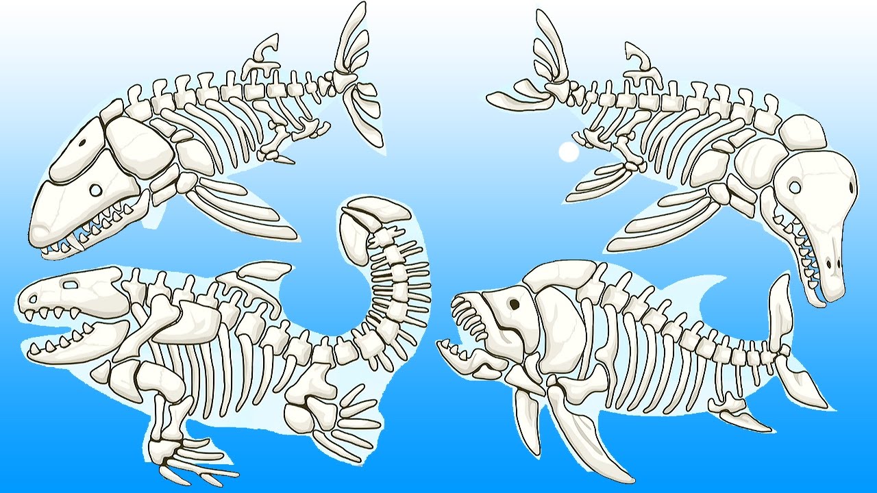 Prehistoric FISH Bones (21 Skeletons) | Eftsei Gaming - YouTube