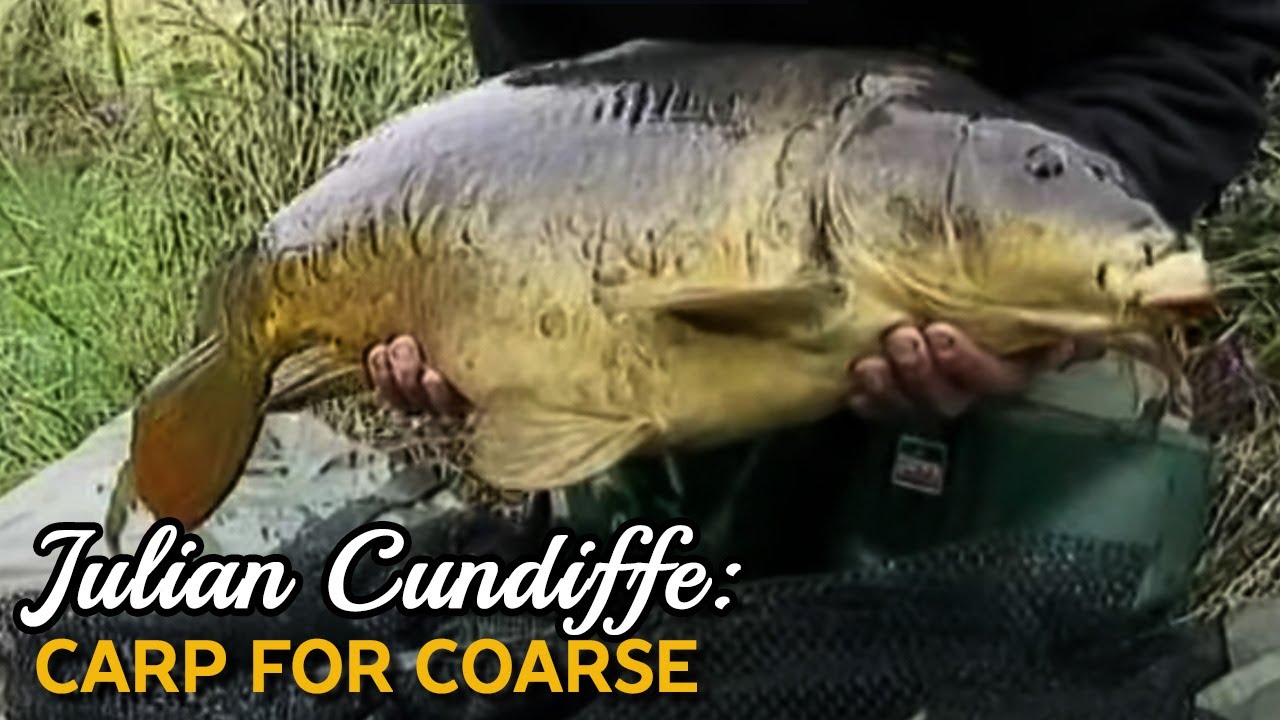 Julian Cundiffe: Carp for Coarse - YouTube