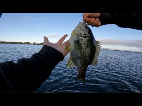 Memorial Day Fishing Derby - Biggest Fish Wins!!! - YouTube