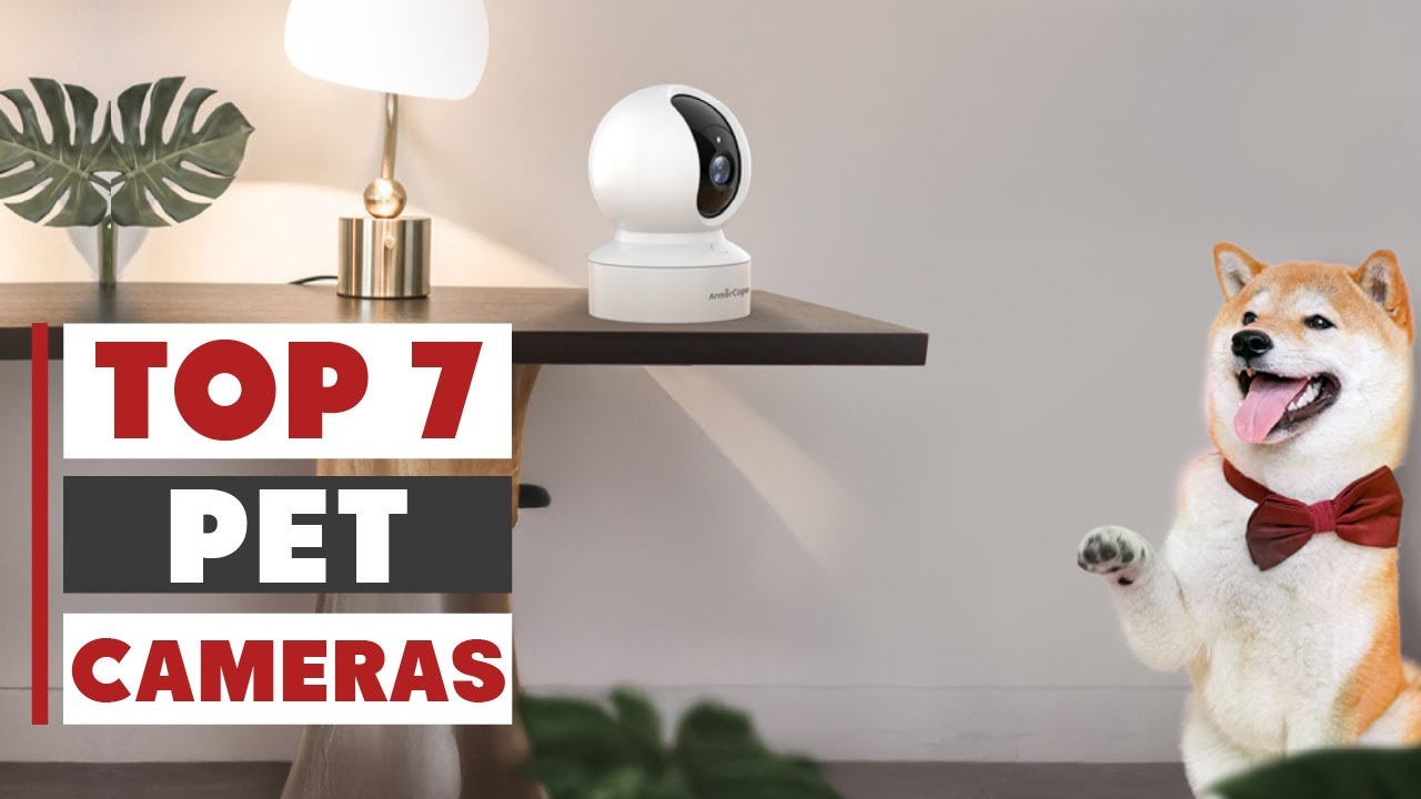7 Must-Have Best Pet Cameras for Dog & Cat Owners! - YouTube