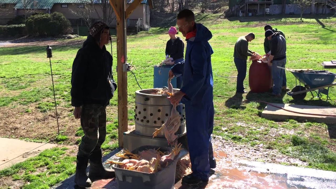 Sunday Morning Chicken - YouTube