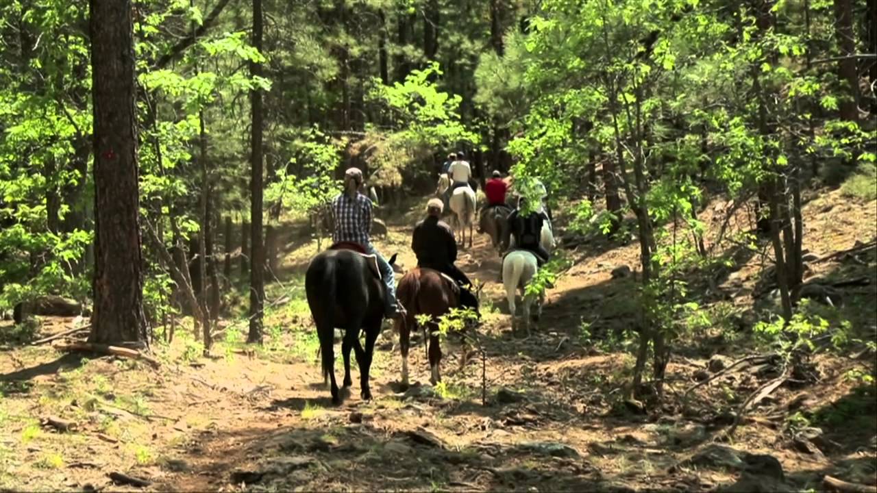 High Mountain Trail Rides - YouTube