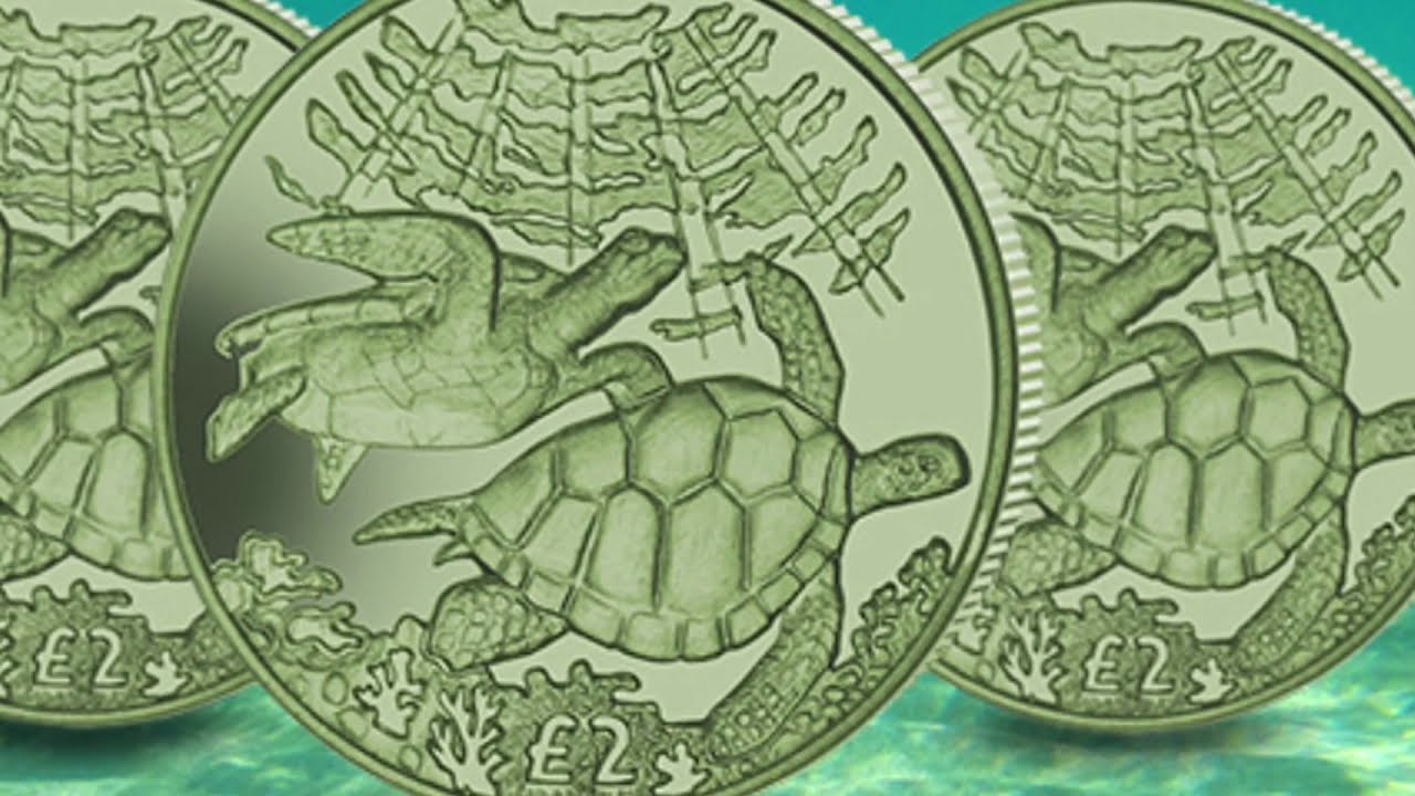 Green Turtle coin - YouTube