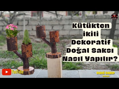 Kütükten İkili Dekoratif Doğal Saksı Nasıl Yapılır?