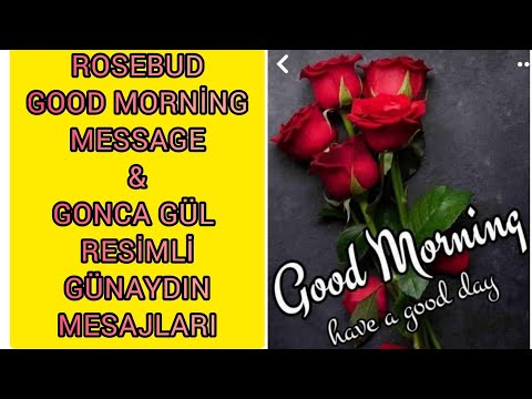 GÜL RESİMLİ🌹GÜNAYDIN MESAJLARI🌹ROSEBUD GOOD MORNİNG MESSAGE🌹EN KISA EN ANLAMLI SÖZLERLE GÜNAYDIN🌹