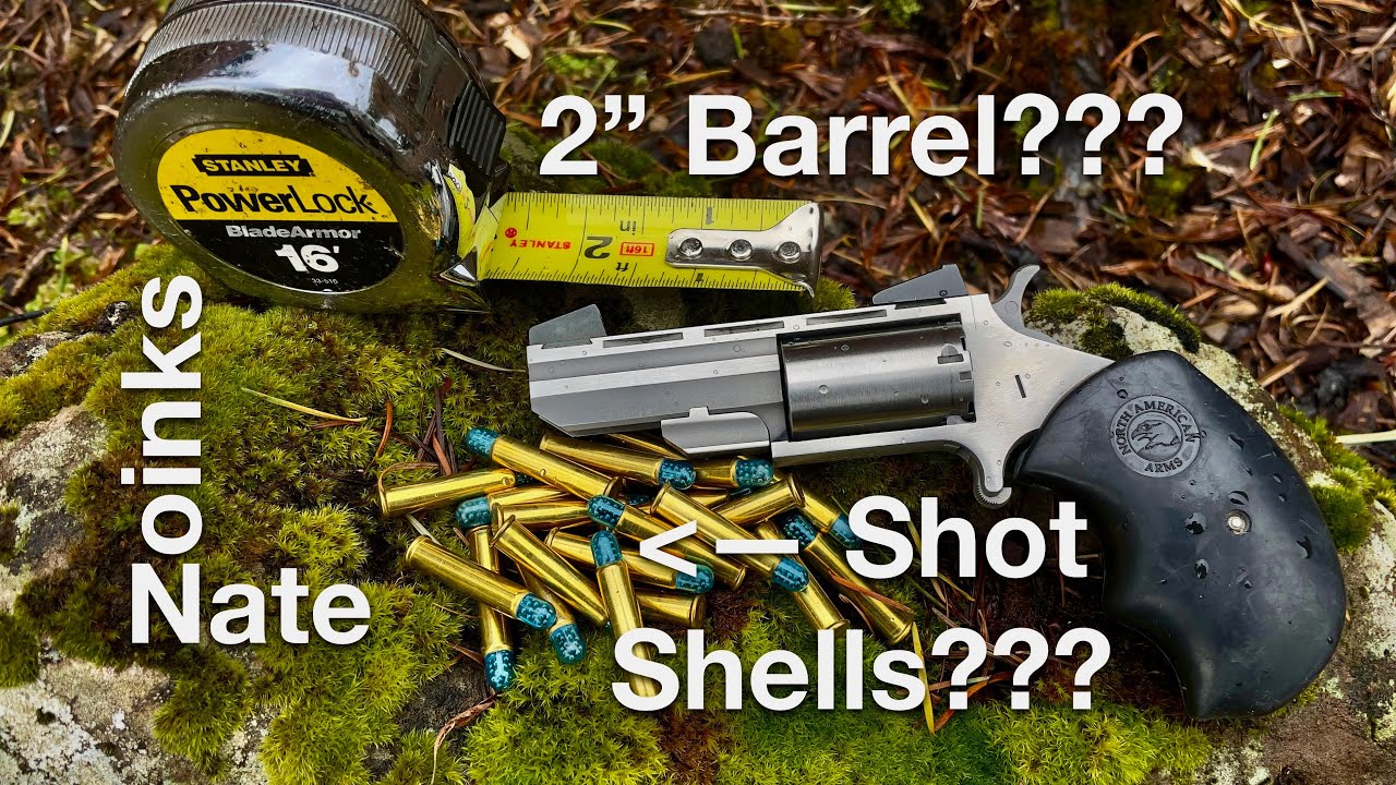 22WMR Shot Shell Test @ 15 feet!!! #ammunition #cci #22wmr - YouTube