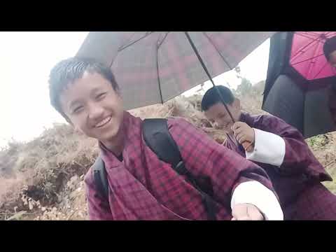 going to home from school rimdo - YouTube