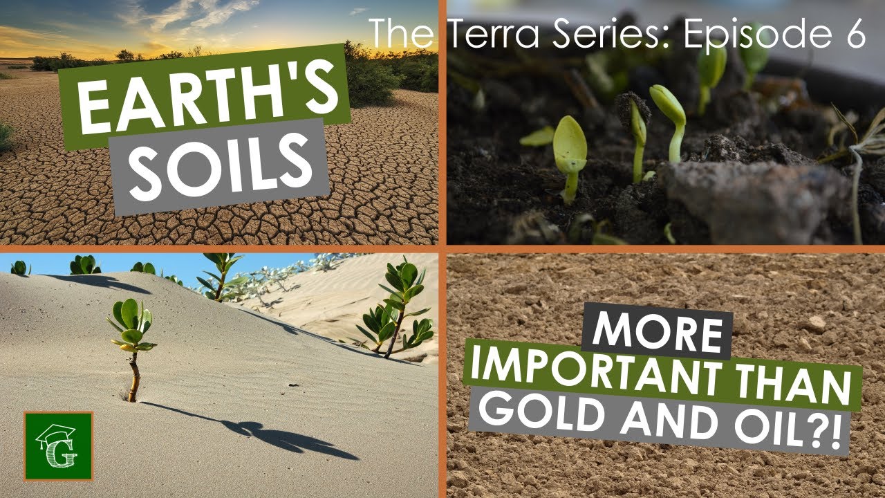 Earth's Soils (MUST-KNOW Basics) - YouTube