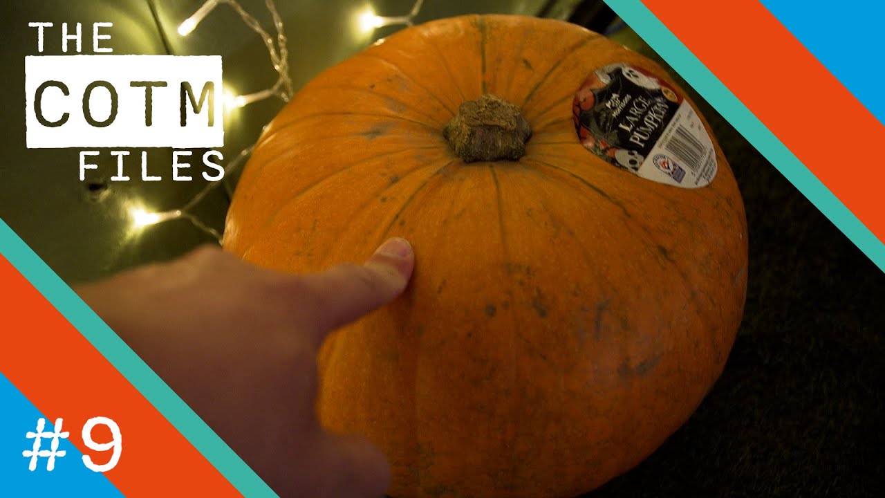 We NEED More buns! - The COTM Files #9 - YouTube