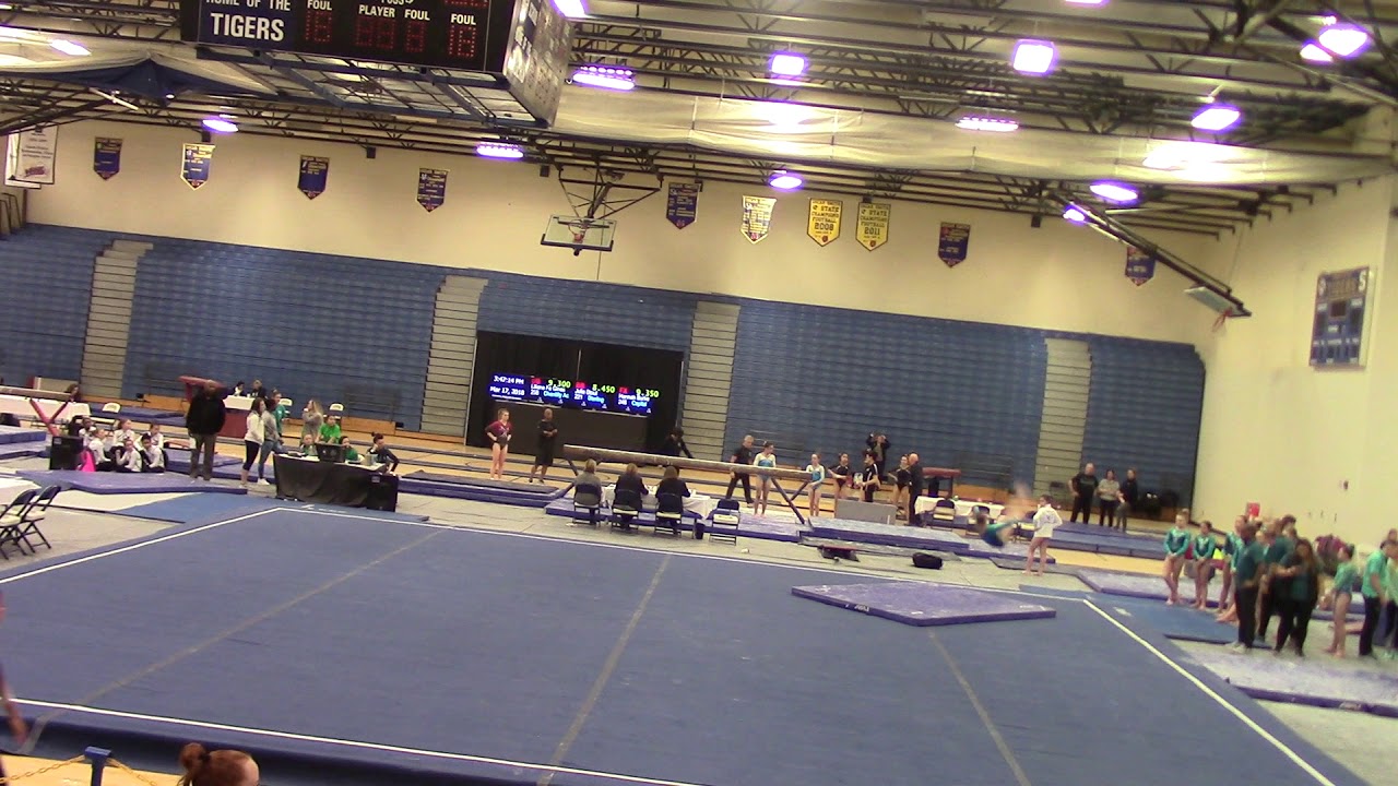 Ava Johnston (L9) Floor 2018 VA State Meet - YouTube