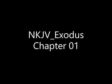 NKJV _ Dramatized _ Audio _ Bible _ EXODUS _ Full - YouTube