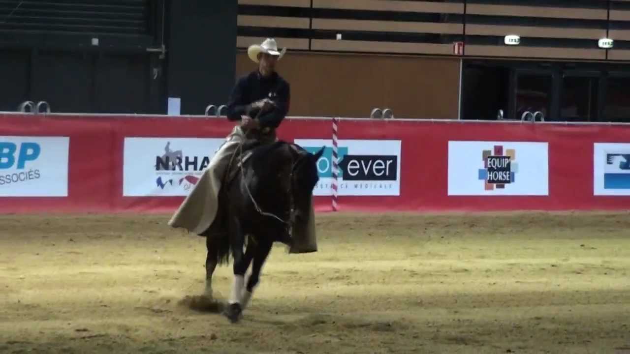 Champion d'Europe 2012 Open Bride Working Cow à EQUITA LYON 1/2 - YouTube