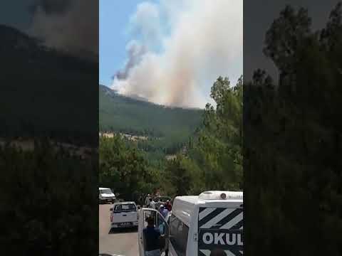 FEHTİYE YANIYOR...!!! Çökek Yanıyor...