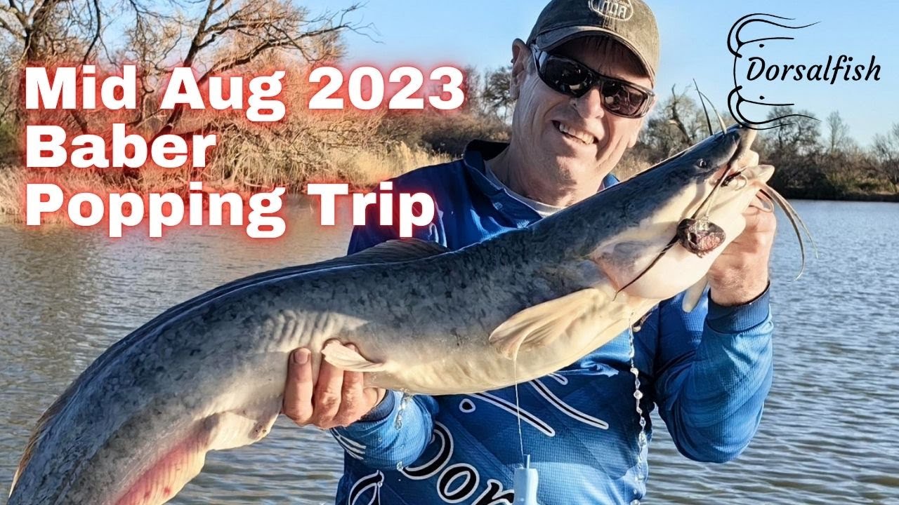 Koue water popping tricks (How to do popping/prop vir baber / catfish ...