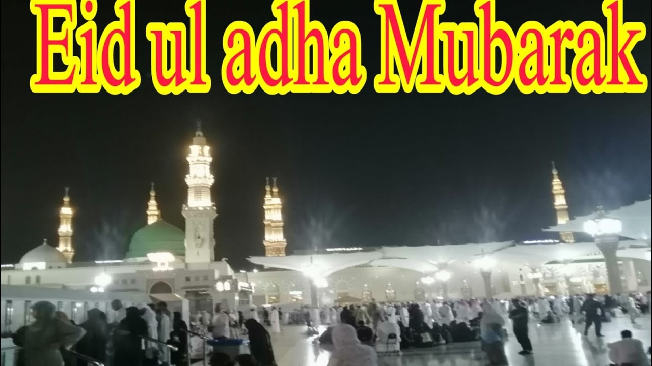 Village Life & Tours is live! at Rawda e Rasool SAWW - YouTube