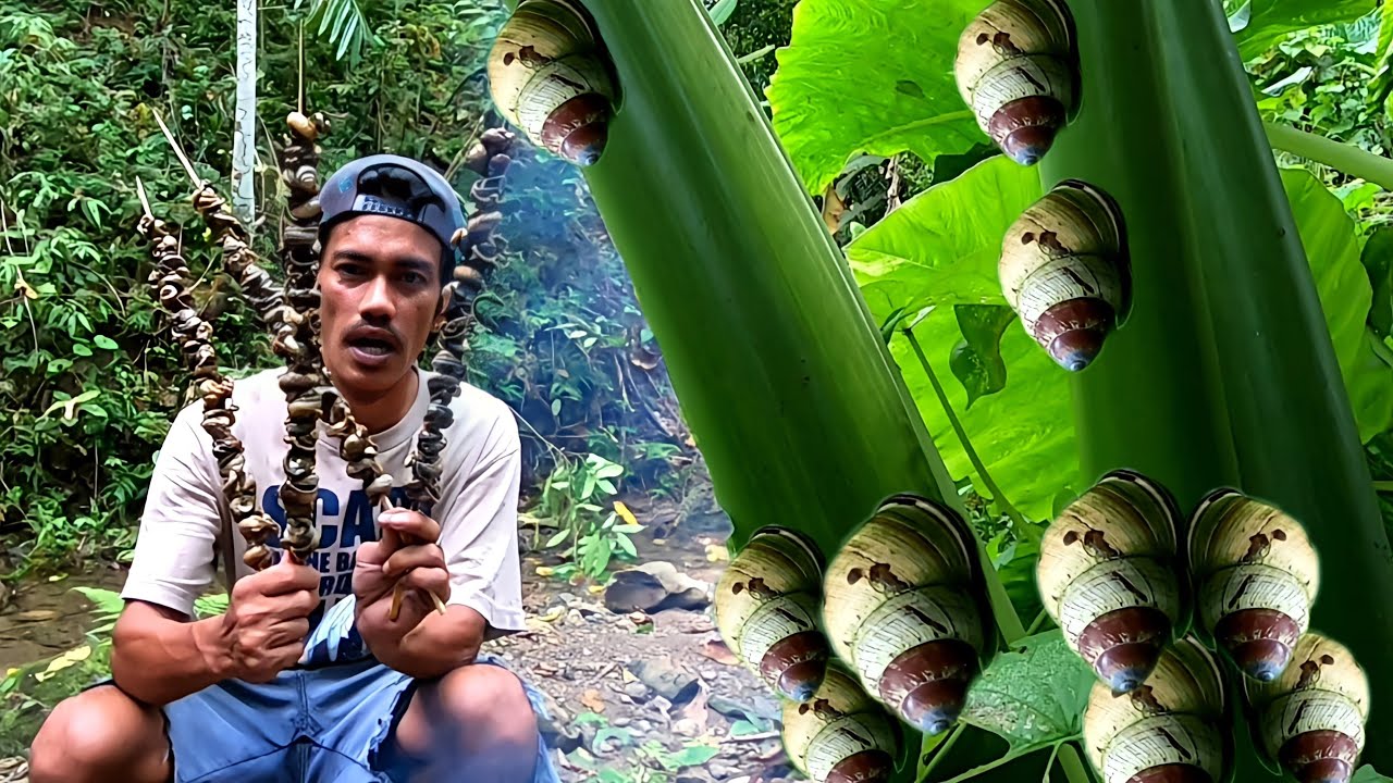 ISA SA MASARAP NA PAGKAING NAKUKUHA SA GUBAT SKARGOT(TAKYONG,TAKDONG ...