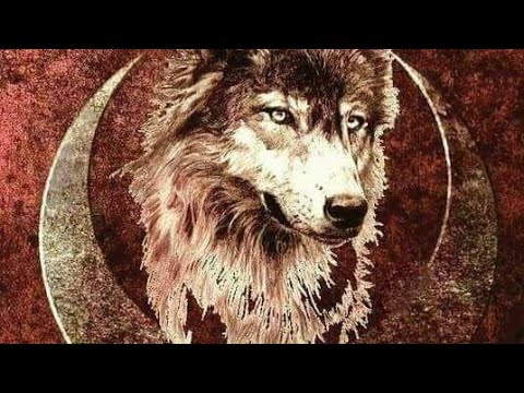 Ali bicim yanlayalımmı