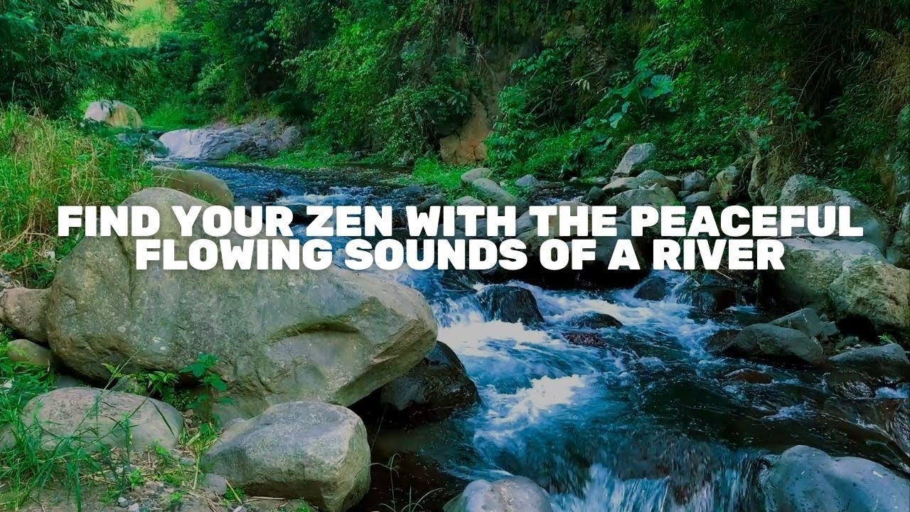 Find Your Zen with the Peaceful Flowing Sounds of a River - YouTube