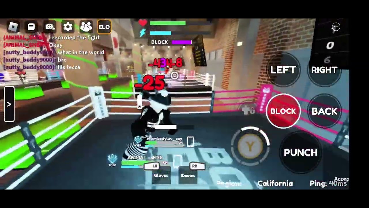 Roblox Boxing Beta ANIMAL_SHBB sparing with Diamond 💎 the rematch ...
