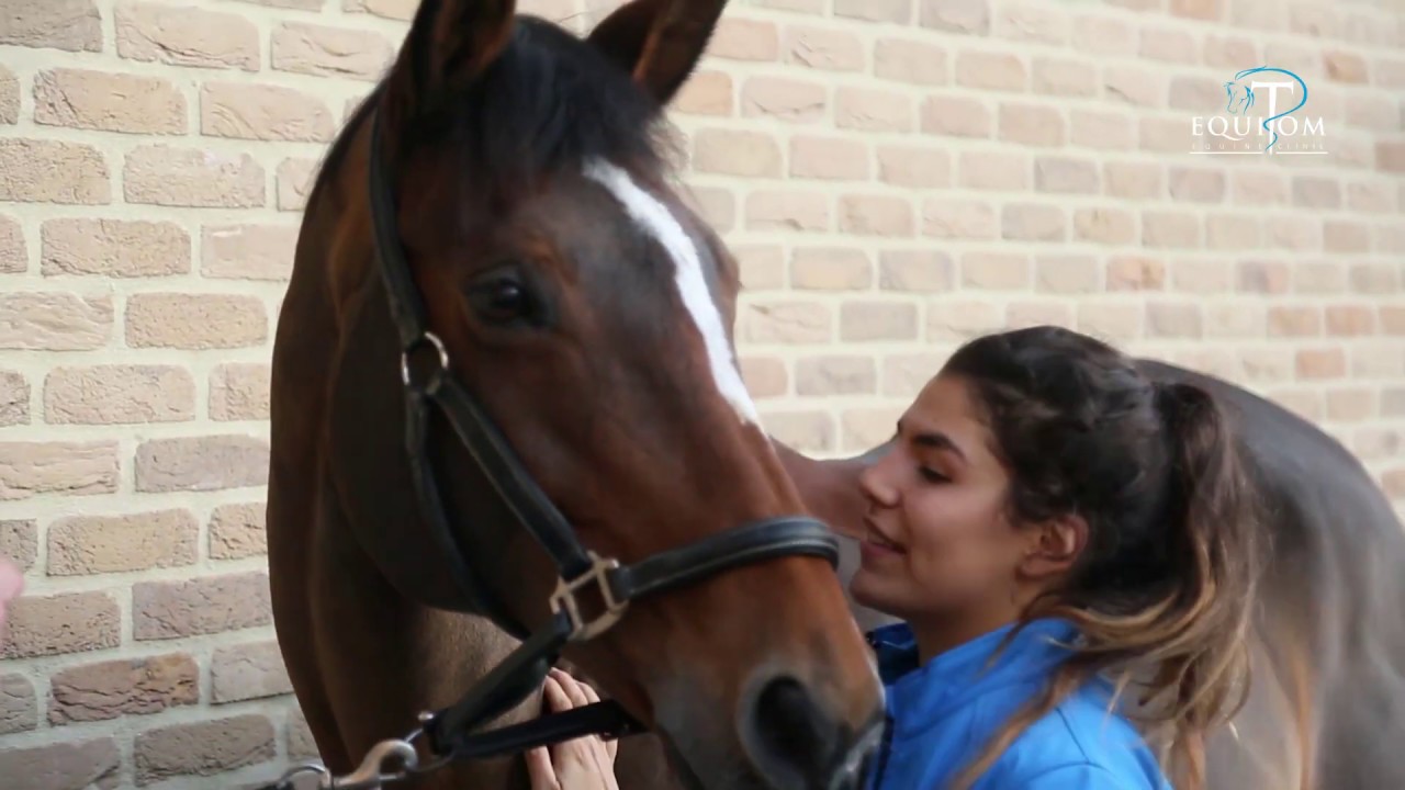 BANDAGE DU JARRET CHEZ LE CHEVAL artiste Aydio, titre Deltitnu final # ...