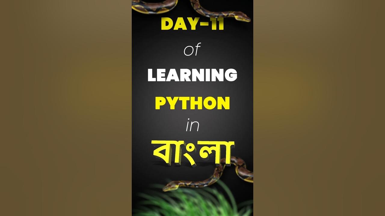 Day 11 পাইথন ফাংশনের প্যারামিটার 🐍 সহজ ভাষায় শেখো! 🚀 #Python #Bangla #30DayChallenge #Functions ...