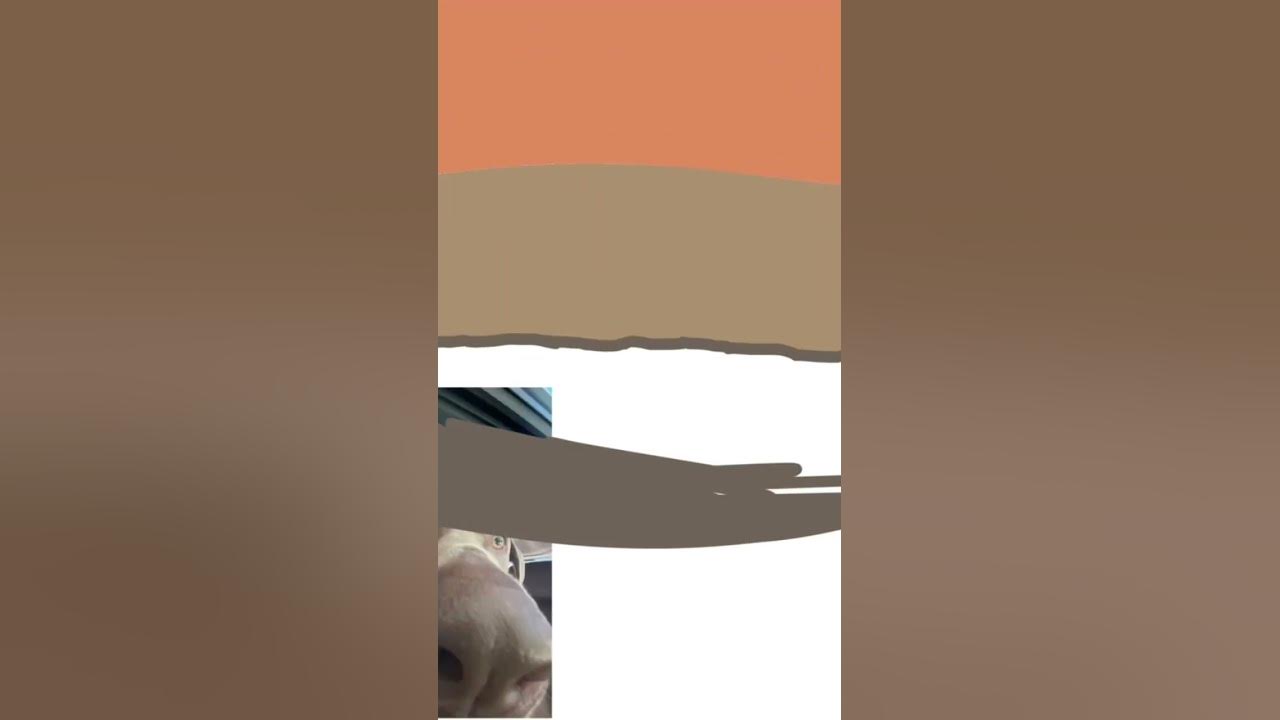 I Got Bored So I Did My Dog dog art ibispaintx YouTube i-got-bored-so-i-did-my-dog-dog-art-ibispaintx-youtube