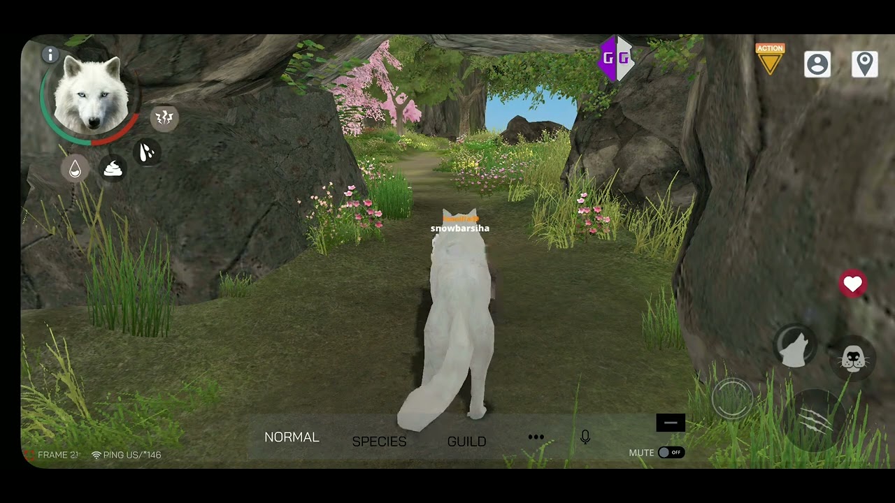 wolf online 2-how to become a puppy? - YouTube